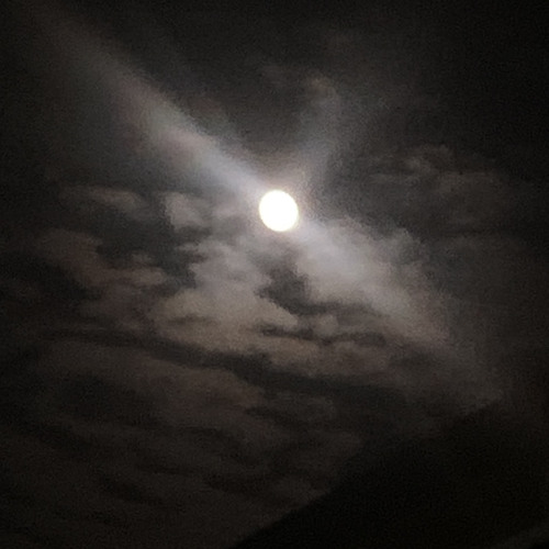 Stream How Is She Everything By Abbey Alvarado Listen Online For