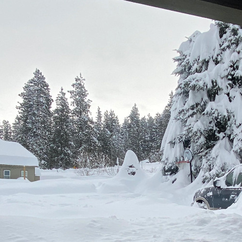 Stream haiiii hiiii haiiiii hiiiii by user-177606668 | Listen online ...