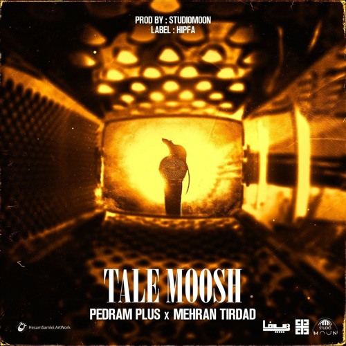 Stream Mehran Tirdad x Pedram Plus - Tale Moosh.mp3 by Mehran Tirdad | Listen online for free on ...