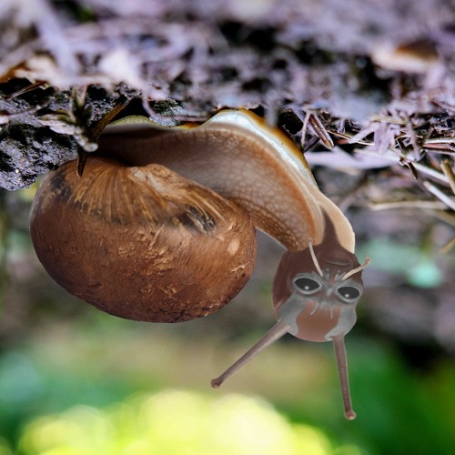 Stream Nine Inch Snail by multiform_bdx | Listen online for free on ...