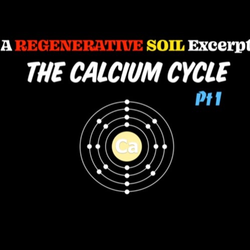Calcium Cycle In Soil