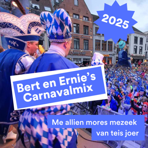 Stream Bert en Ernie's Carnavalmix 2025 - Carnaval Halle by DJ Bert Van ...