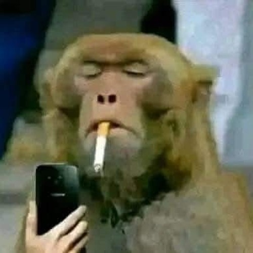 Stream FIRMA DO DIFERRO = BROTA NO TURANO PRNH by BR DA TIJUCA | Listen ...