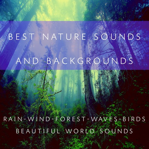 Stream Nature Sounds And Backgrounds | Listen to Best Nature Sounds and ...