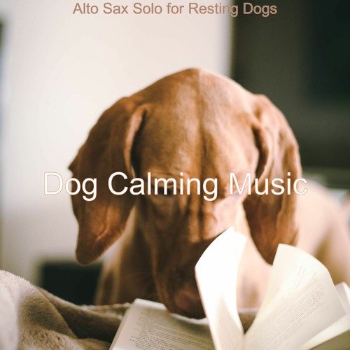 Stream Dog Calming Music | Listen to Alto Sax Solo for Resting Dogs ...