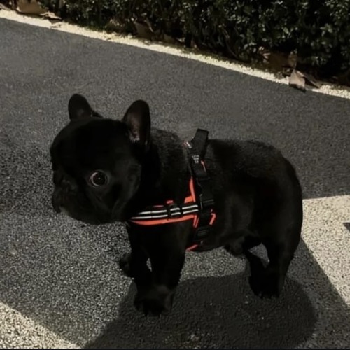 Stream brother love | Listen to underground aux playlist online for ...