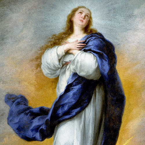 Stream Mary's Vocation and Ours (Rebroadcast, Novena to the Immaculate ...