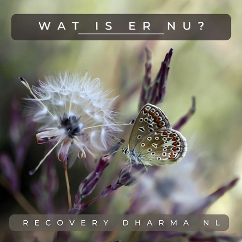 Stream Wat Is er nu? (Recovery Dharma NL) by Recovery Dharma Nederland ...