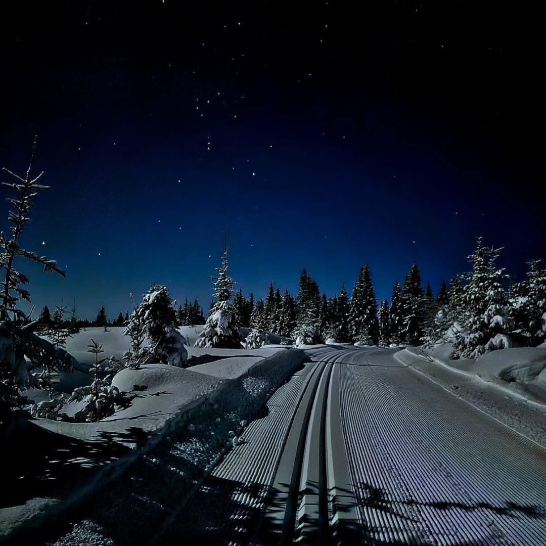 Stream Where We’re Gonna Be (Sterling) by STIrving | Listen online for ...