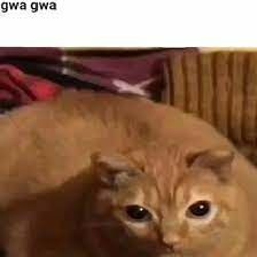 Stream gwa gwa by Fontaine | Listen online for free on SoundCloud