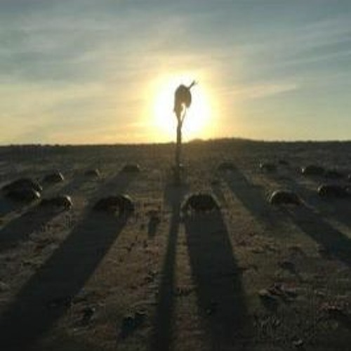 Stream Staring from Afar by Jonathan Malament | Listen online for free ...