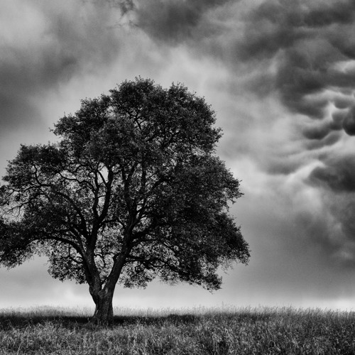 Stream episode The interlopers by Saki - abridged MUL Audio Project by ...