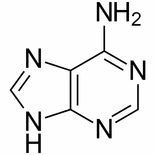 Stream I-Ching DNA - 3 - Adenine by Earthquake Ensemble | Listen online ...