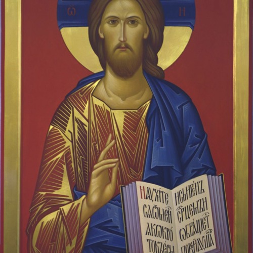 Stream Homily For The 22nd Sunday In Ordinary Time by Chicago ...