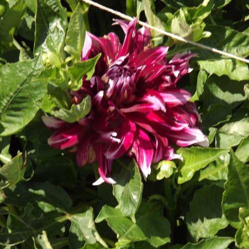 Stream Sometimes I Feel Like a Motherless Child by Jonathan Taylor ...