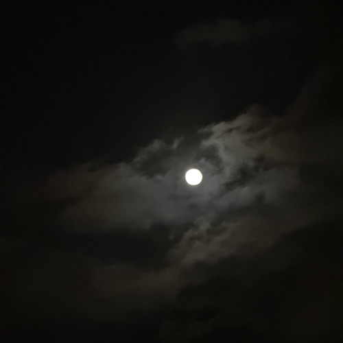 Stream in the storm w/ shady moon & astrus by 22DECEMBER ARCHIVED