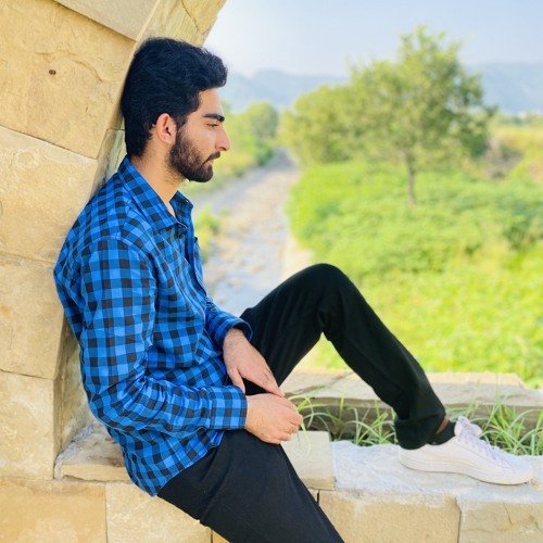 Stream episode Ek Malang Salman Paras Shina New Song 2021 LyricsZafar ...