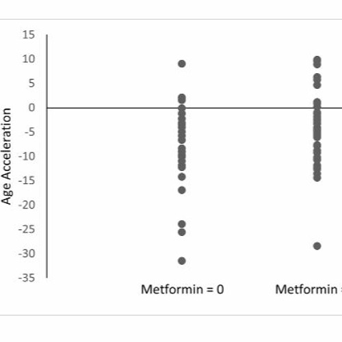 Stream episode Metformin's Impact on Aging and Longevity Through DNA ...