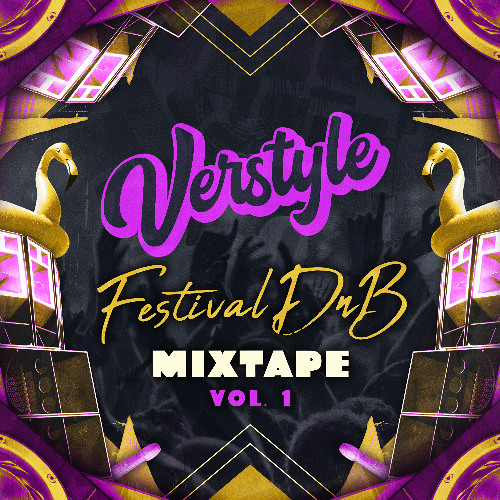Stream Festival DnB Mixtape Vol 1 by Verstyle | Listen online for free ...
