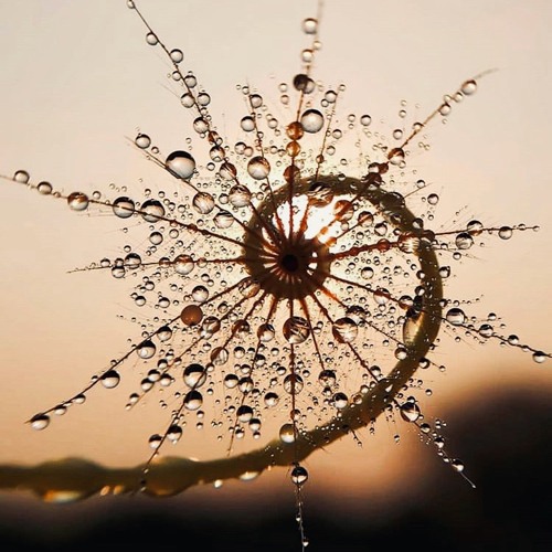 Stream Anna Naturalista | Listen to Energy Medicine ~ Healing ...