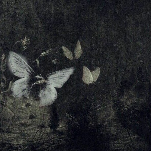 Stream تسأليني ليش احبج؟ u ask me why ily by جيهان | Listen online for ...