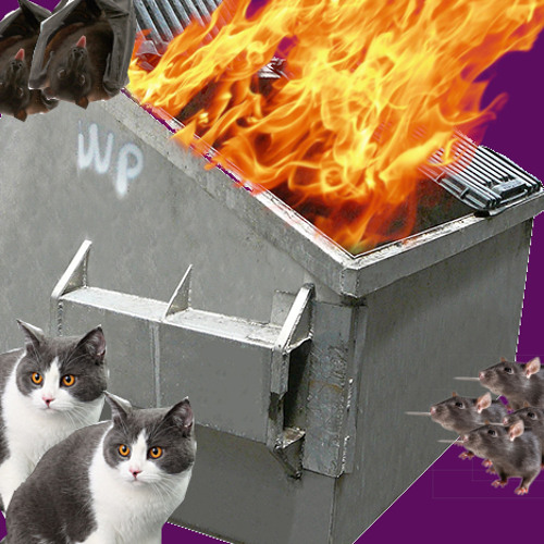 Stream Bats, Rats, and Alley-Cats: Mutiny on the S.S. Bundaberg by ...