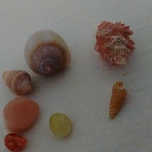 Stream Sad Seashells (WIP, rough version) by Parallax Clouds | Listen ...