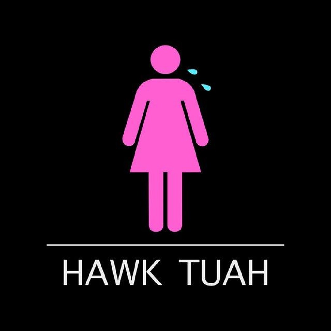 Stream ANTH, Conor Maynard, Corey Nyell - Hawk Tuah by Christopher ...