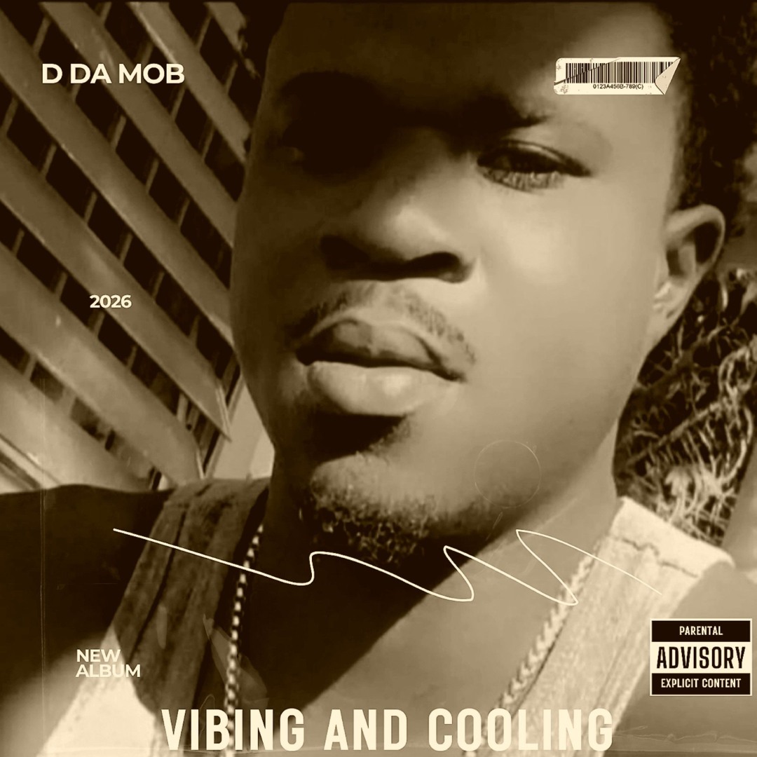 Listen to 2.Doing Damage By D Da Mob by Scratch On The Track in Vibing ...