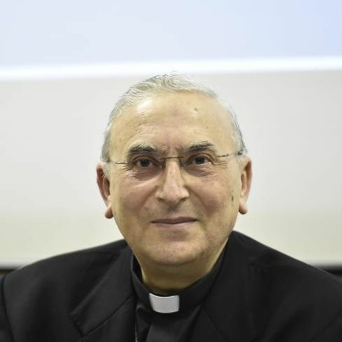 Stream Intervista al Card Mario Zenari by Radiopace Verona | Listen ...