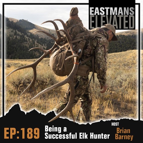 Stream episode Episode 189: Being a Successful Elk Hunter with Brian ...