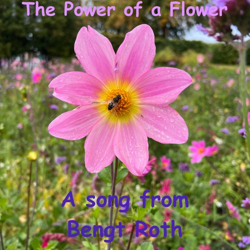 Stream The Power of a Flower by Bengt Erik Roth User 188944807 | Listen ...