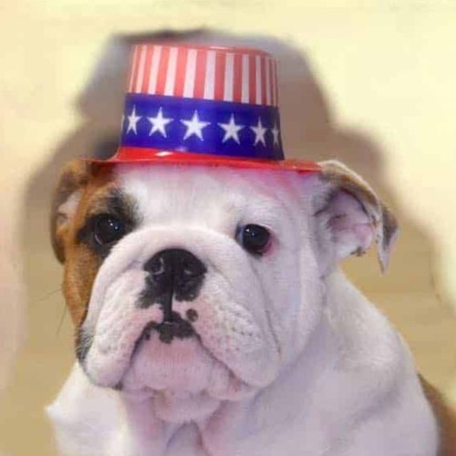 Stream blimeydog - need2 prod cranes by ‎ | Listen online for free on ...