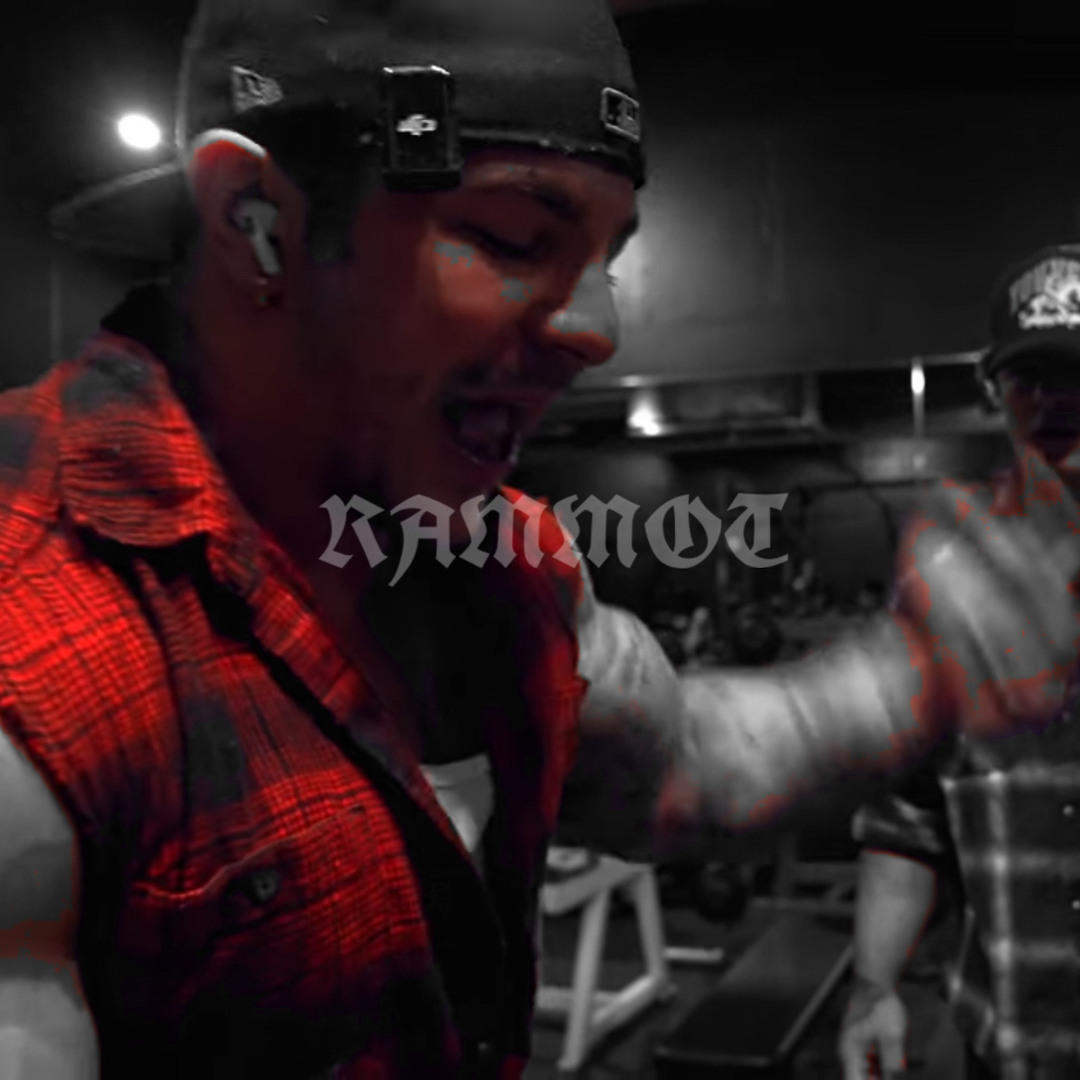 Stream Tren Twins X 200 vermins project by RAMMOT | Listen online for ...