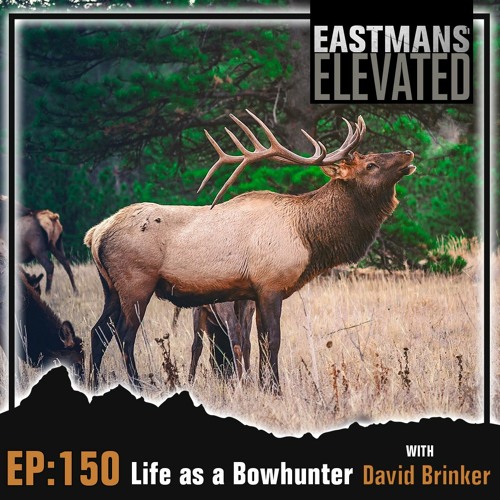 Stream episode Episode 151: Life as a Bowhunter with David Brinker by ...