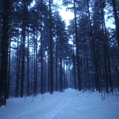 Stream Wish by ༺SHONEN SKIN࿇∴᪣༻ II | Listen online for free on SoundCloud