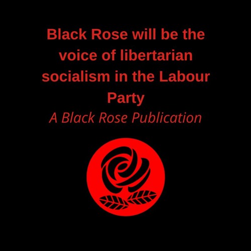 Labour Party Rose