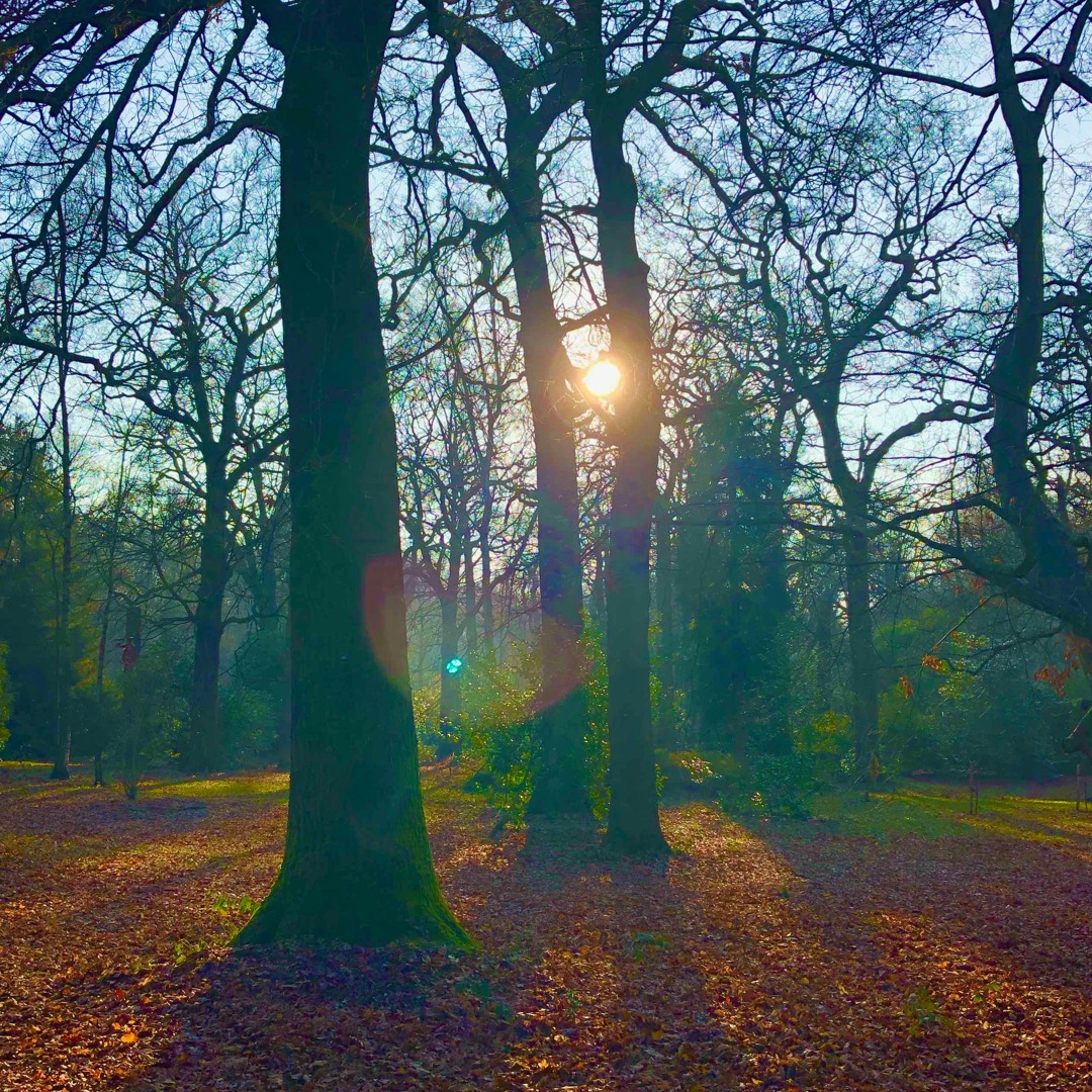 Stream Look Up by Uiopp | Listen online for free on SoundCloud