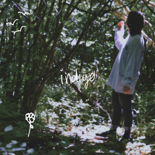 Stream indigo by Days to Waste | Listen online for free on SoundCloud