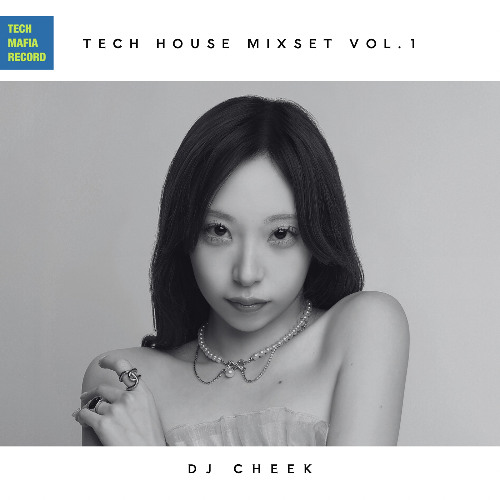Stream [Mixset] DJ CHEEK - TECH HOUSE MIXSET VOL.1 by TECH MAFIA RECORD ...