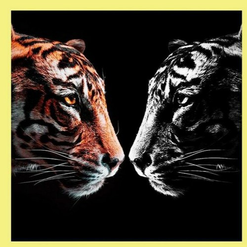 Stream Chapter 3: Done Taking Orders by Elliott Geer | Listen online ...