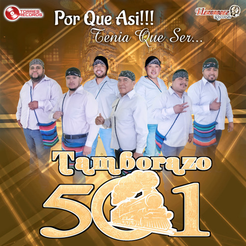 Stream Huapango Amor Ranchero by Tamborazo 501 | Listen online for free ...