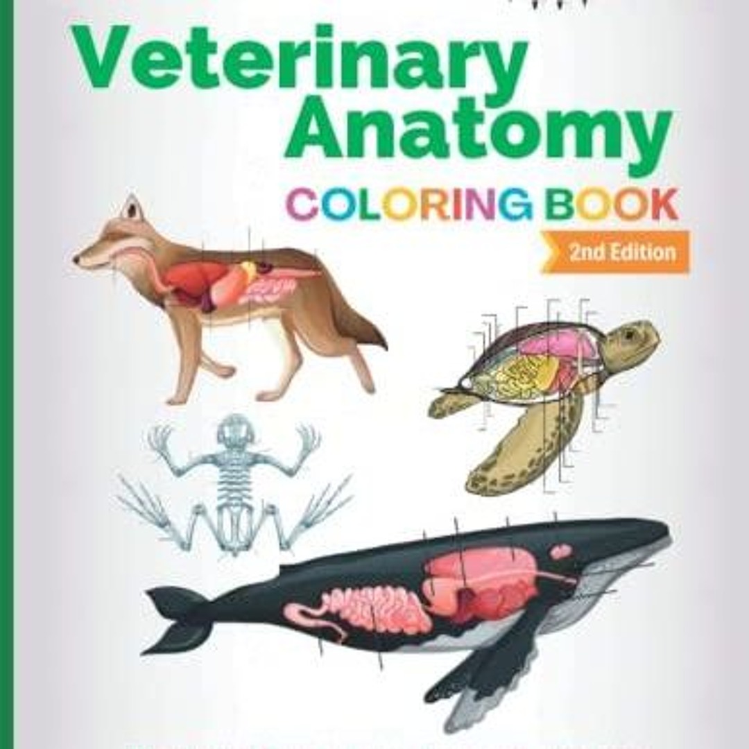 Stream ePub Veterinary Anatomy Coloring Book: Animal Anatomy and ...