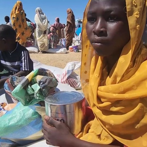 Stream CLIP - Sudanese refugees fleeing to Chad under fire: UNHCR by ...