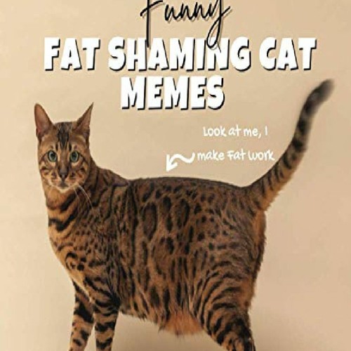 Funny Fat Cat Meme