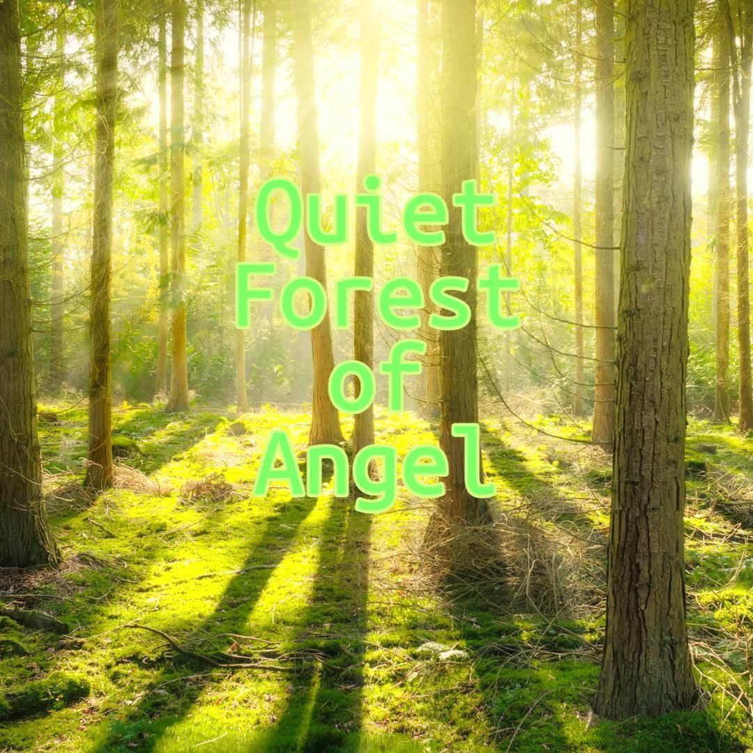 Stream Quiet Forest of Angel by Seedbean | Listen online for free on ...