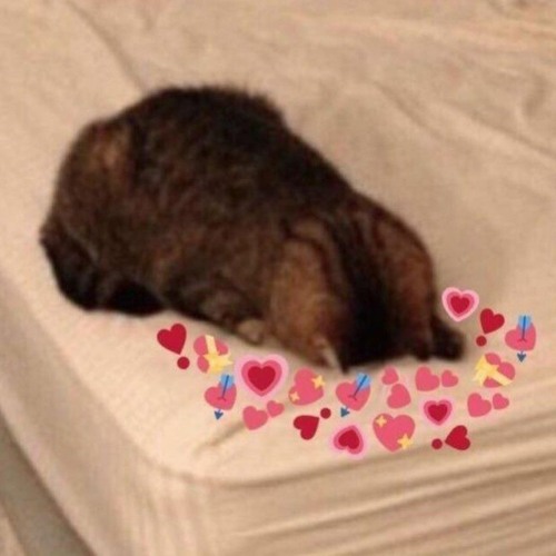 Stream okjj | Listen to สุขขีอัตตานัง รักเธอจังซารังเฮโย playlist ...