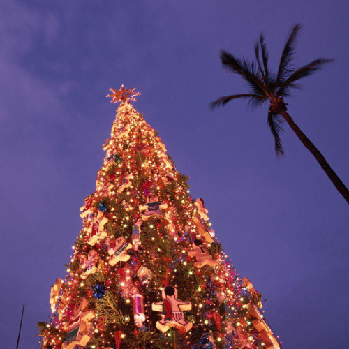 Stream A Hawaiian Christmas by Samuel Tuttle | Listen online for free ...