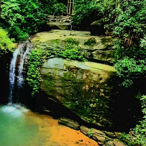 LOCATION PLAYBOI CARTI HOUSE REMIX - Listen to music