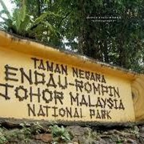 Sage Freastern Sarah Custom Sets Foto